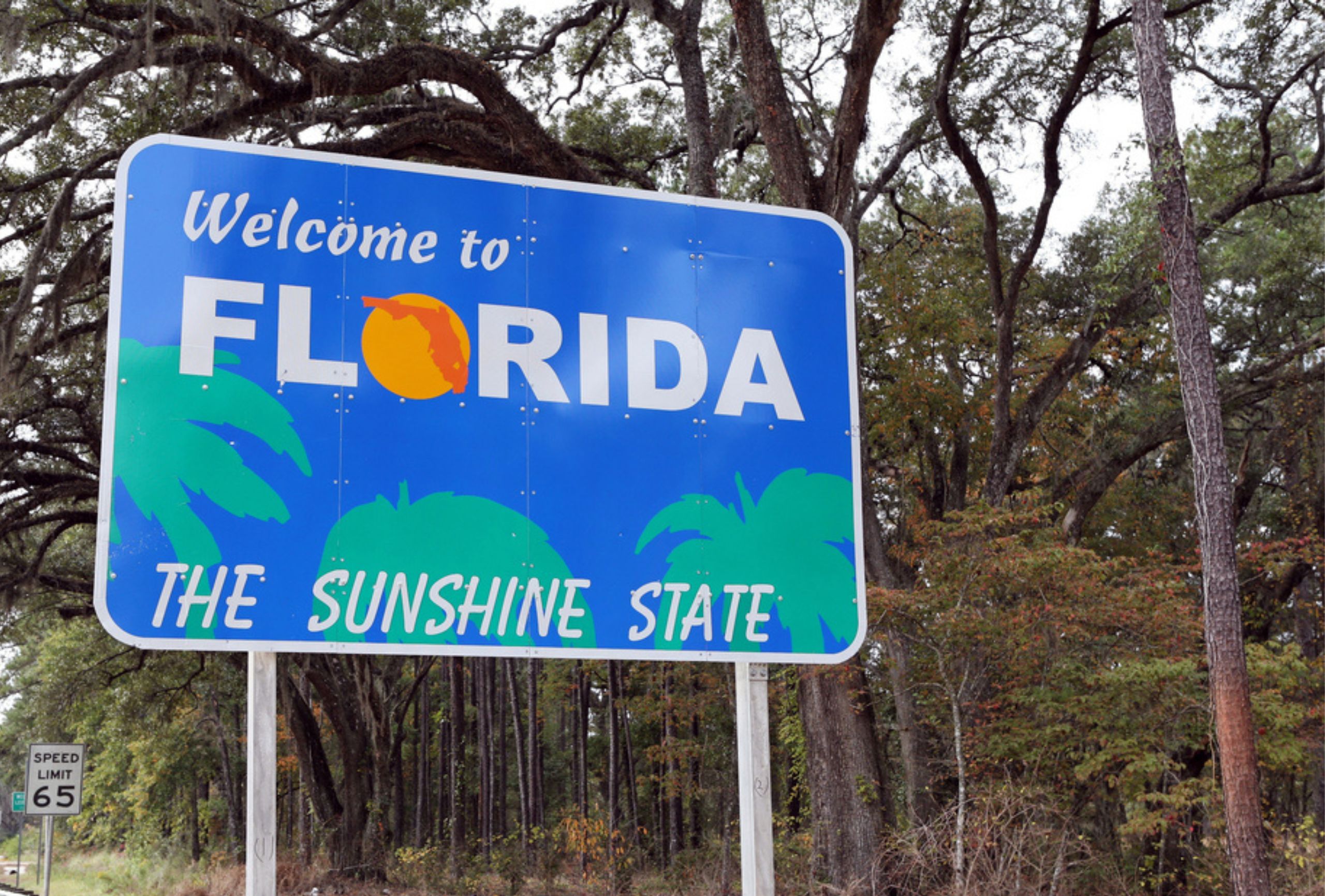 Police from New York relocating to Florida - Our America